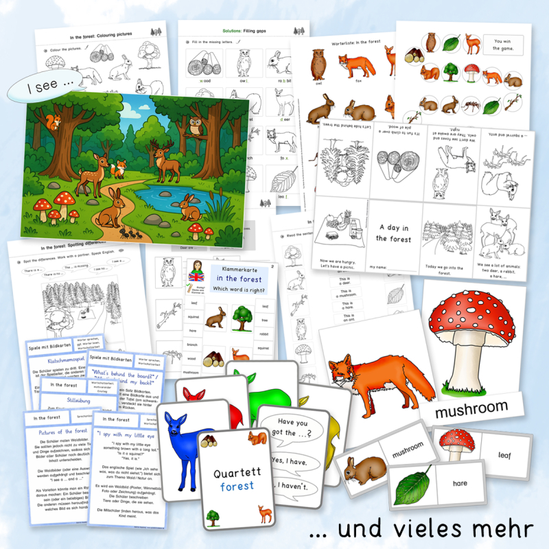 Englischmaterialien: in the forest