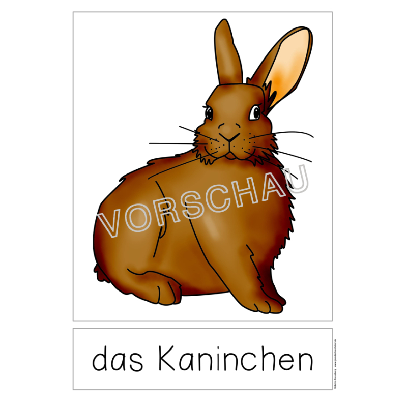 Unterrichtsmaterial für DaF/DaZ zum Thema "Haustiere"