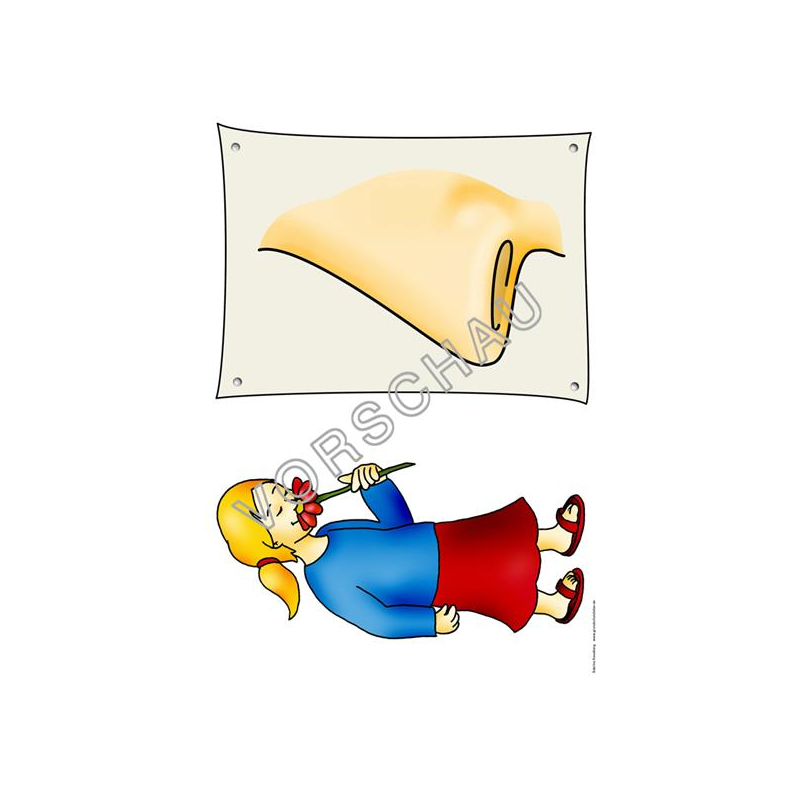 5 Sinne-Werkstatt für die Grundschule