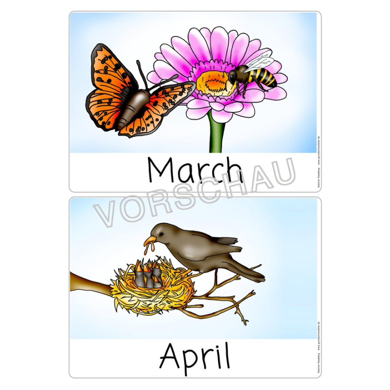 English calendar (Kalender-Bildkarten für den Englischunterricht)