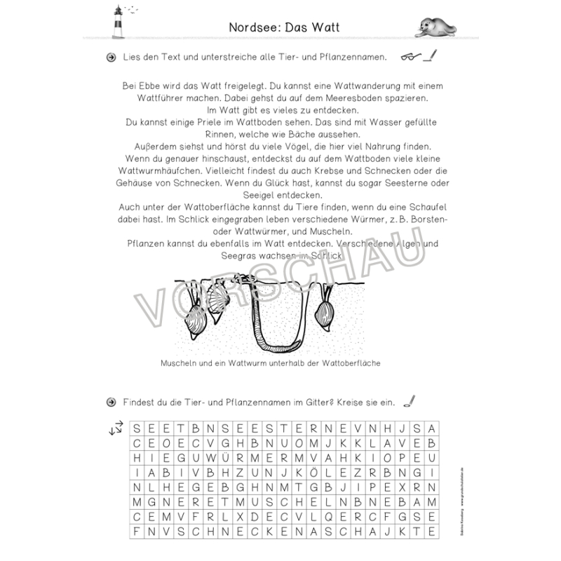 Nordsee-Werkstatt für die Grundschule