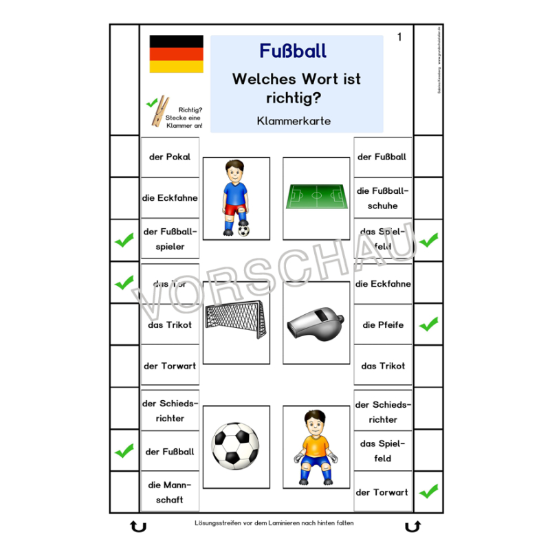 Unterrichtsmaterial für DaF/DaZ zum Thema "Fußball"