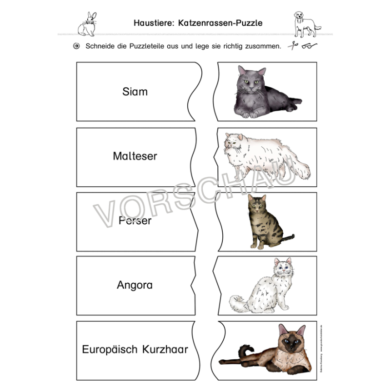 Haustiere-Werkstatt für die Grundschule