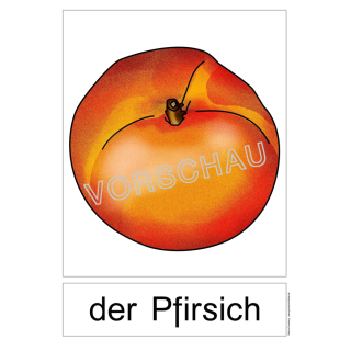 DaF-Materialien: Obst & Gemüse