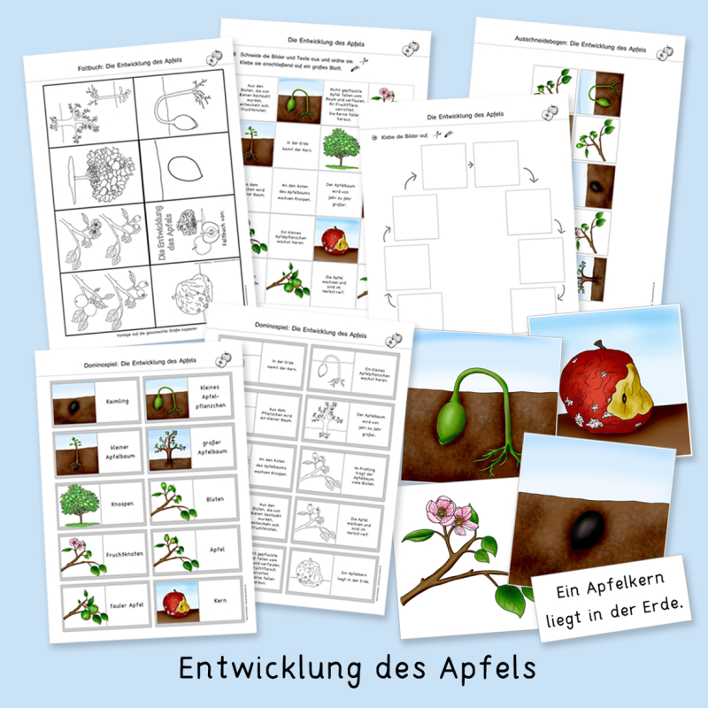 Apfelwerkstatt für die Grundschule