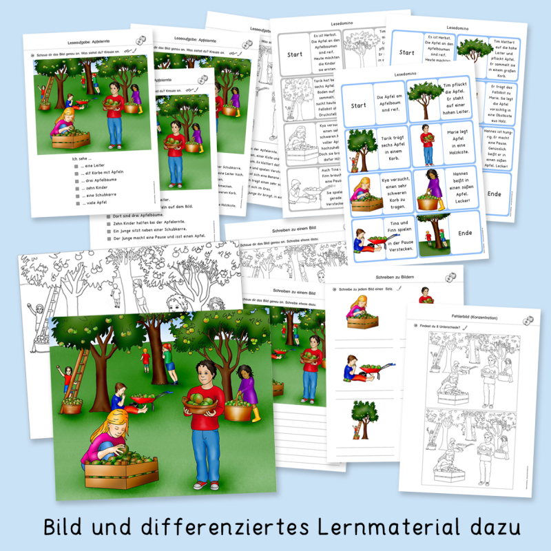 Apfelwerkstatt für die Grundschule