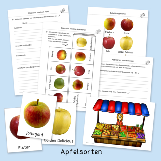 Apfelwerkstatt für die Grundschule