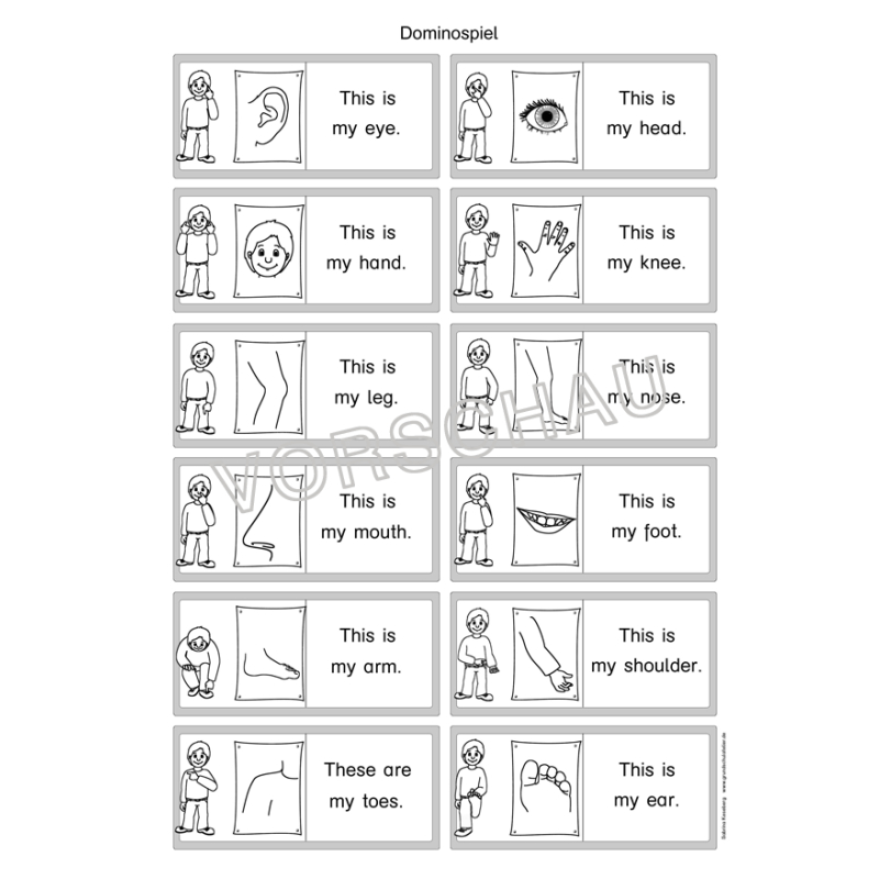 Englischmaterialien: my body