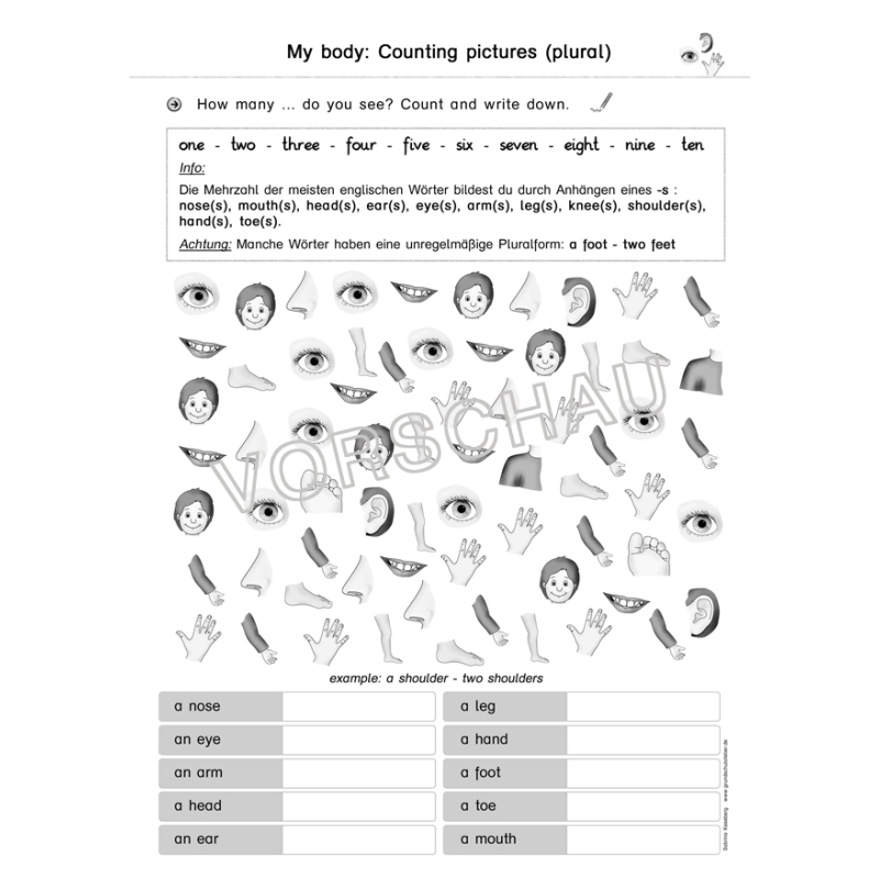 Englischmaterialien: my body