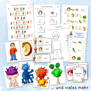 Englischmaterialien: my body