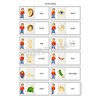 Englischmaterialien: my body