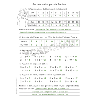 Gerade und ungerade Zahlen (Arbeitsblatt, Mathe, Klasse 1)
